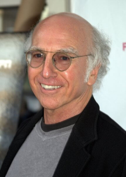 Larry David stole my life and put it on TV - Suburban Chicagoland
