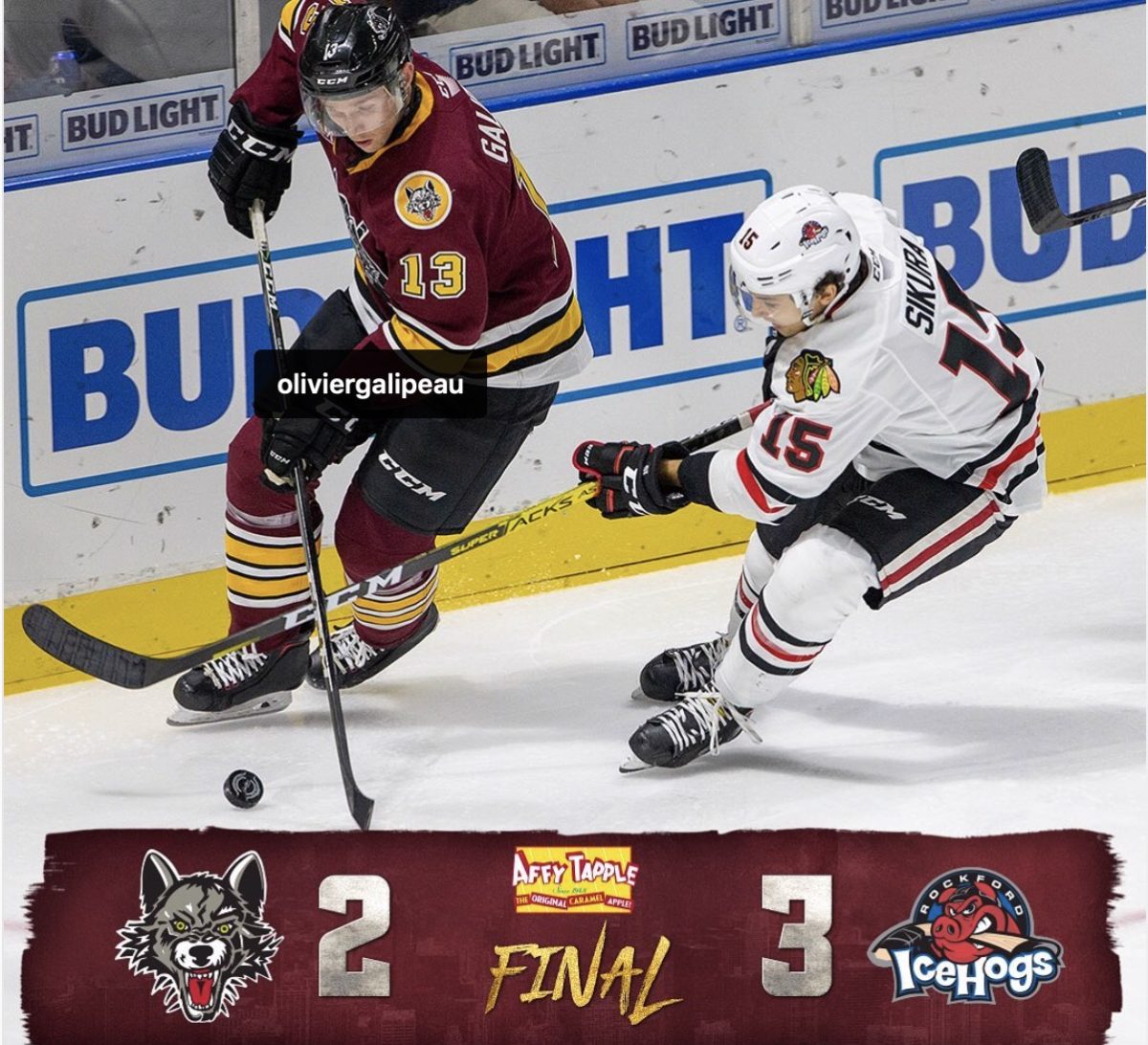 Wolves capture another division title - Suburban Chicagoland