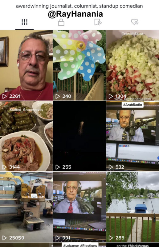 Ray Hanania TikTok page - Suburban Chicagoland