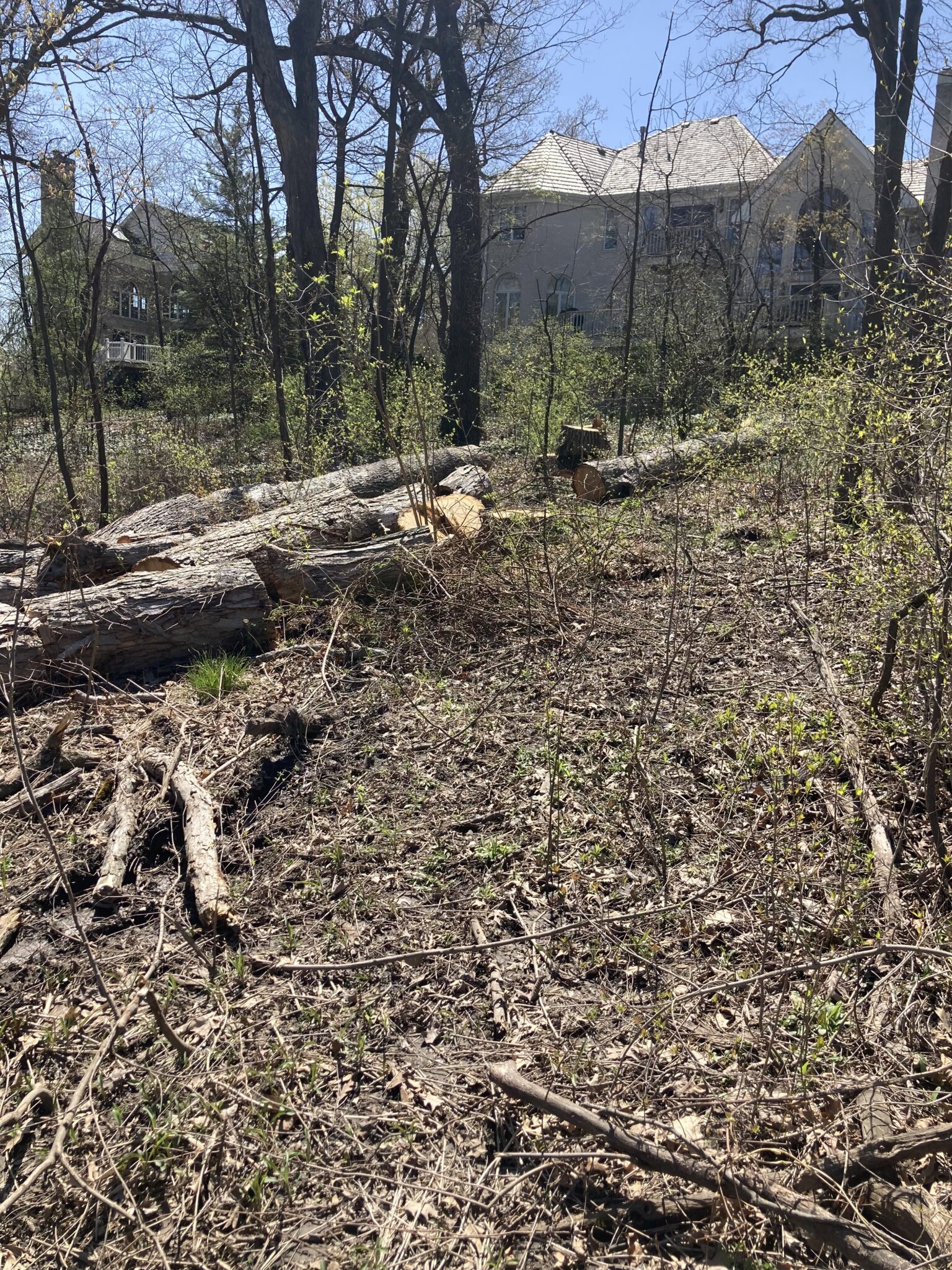 Crystal Tree homeowner frustrated Pekau won't address his concerns ...