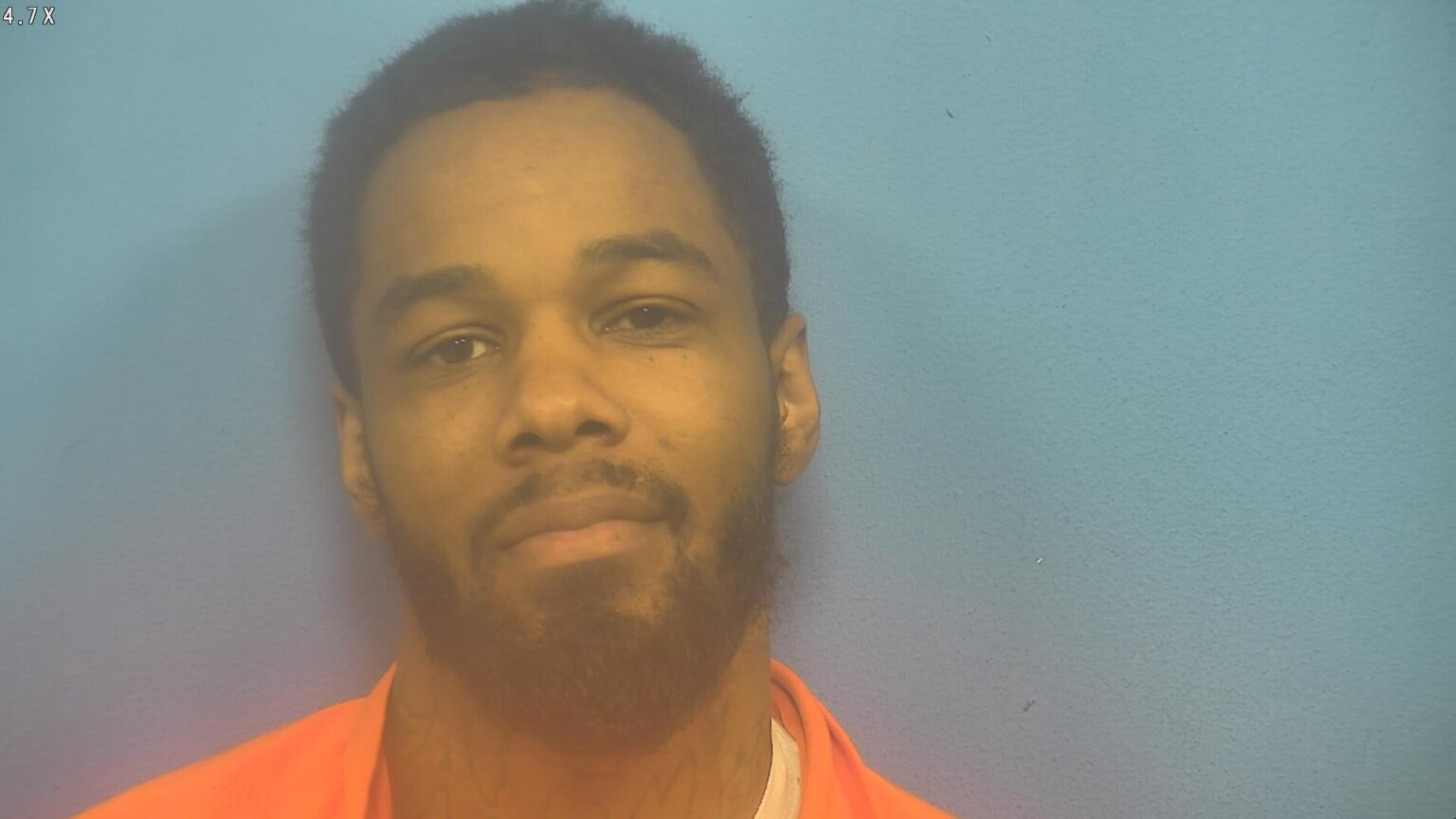 Chevelle Carter mugshot DuPage County - Suburban Chicagoland