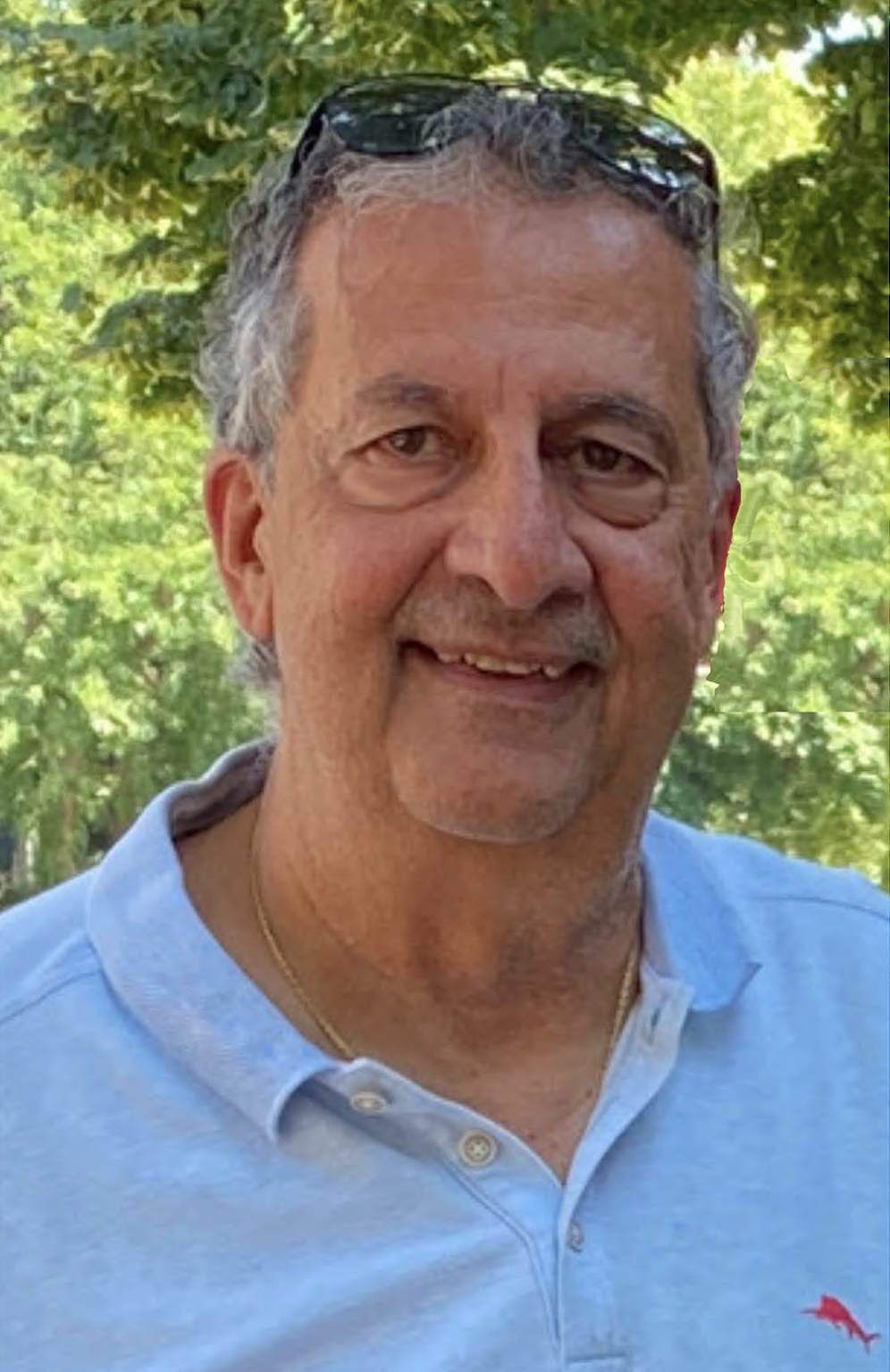 Ray Hanania - Suburban Chicagoland