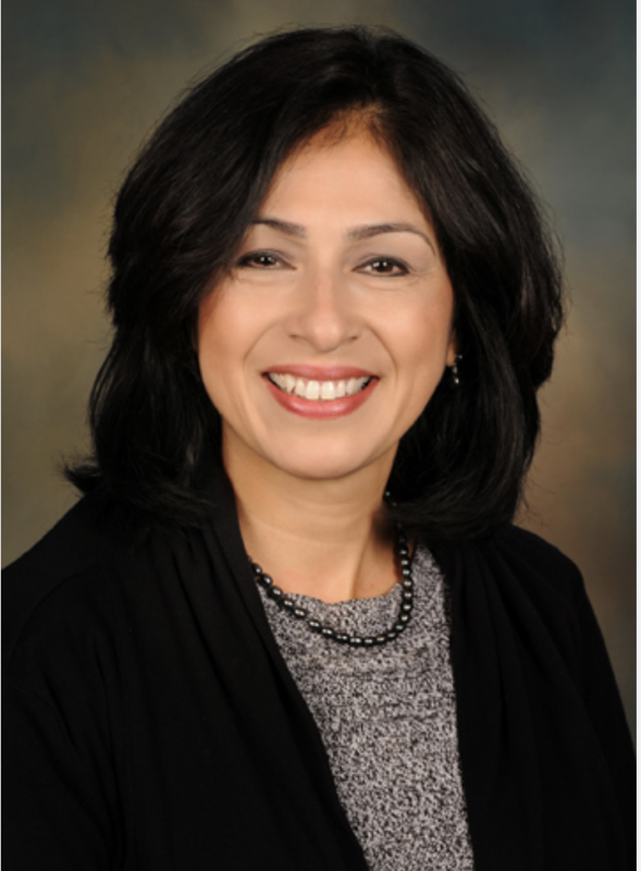 Illinois State Rep. Lisa Hernandez - Suburban Chicagoland
